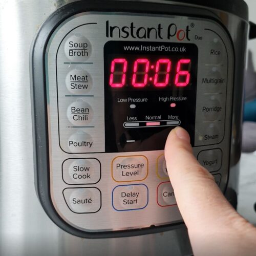 Instant Pot Symbols & Display Icons: What Do They Mean? - A Pressure ...