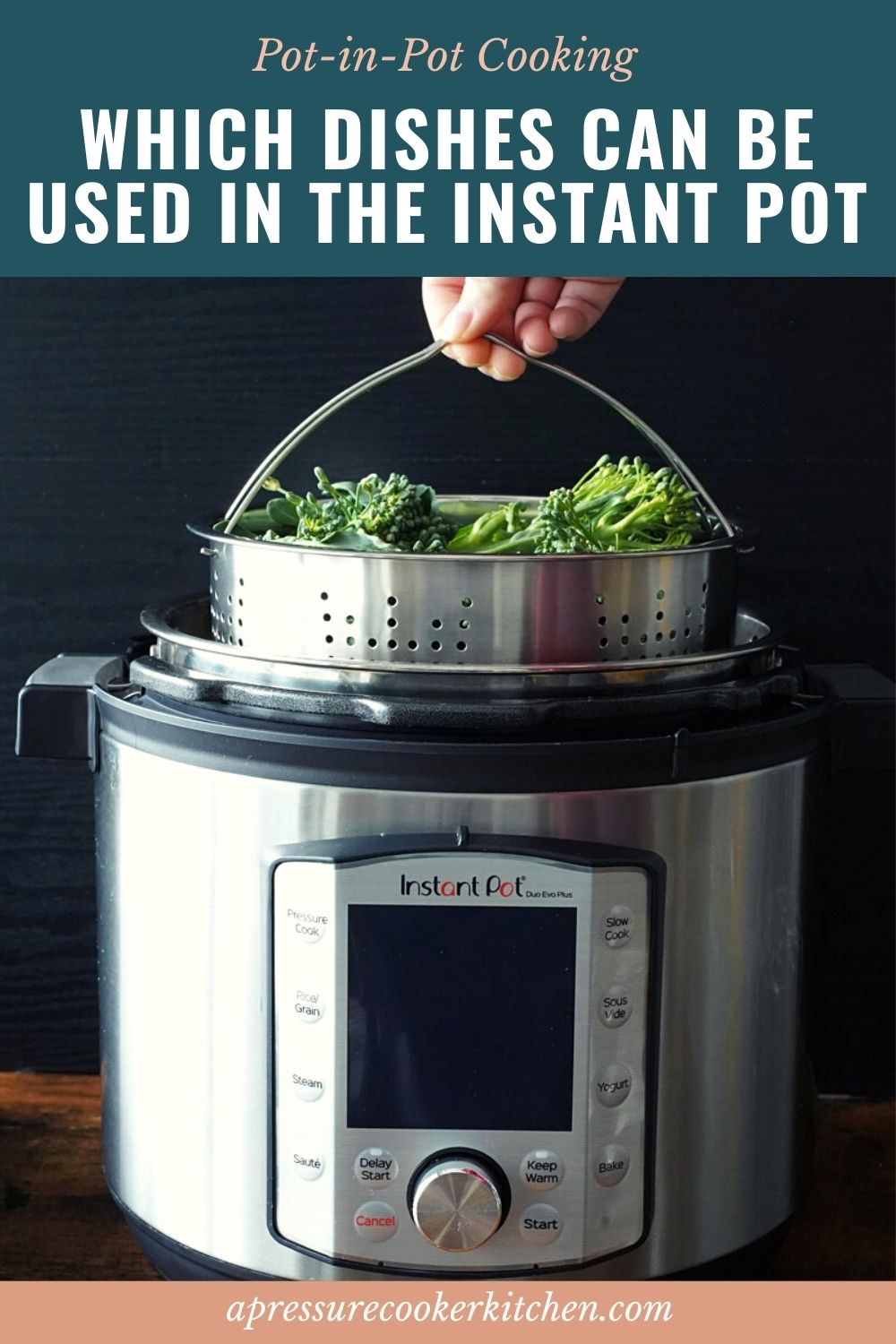 Which Containers Can Be Used in the Instant Pot? - A Pressure Cooker ...