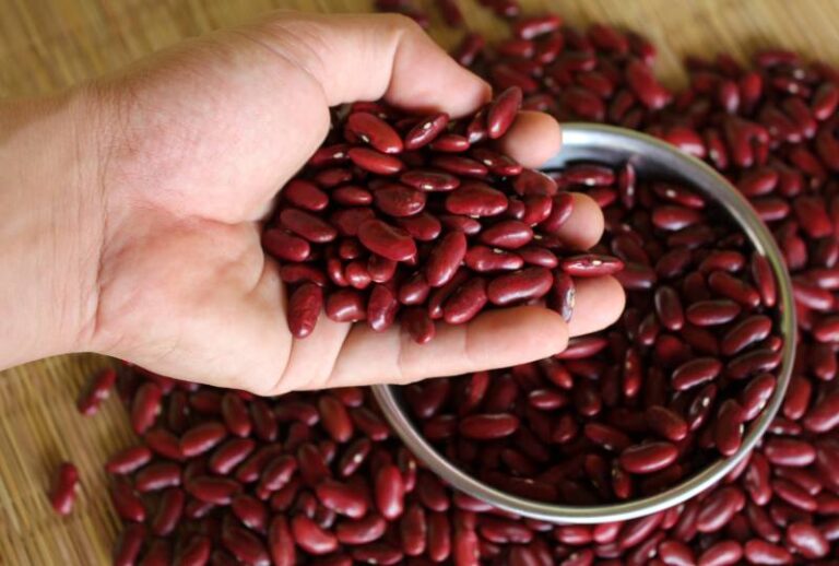 Easy Instant Pot Kidney Beans (No Soak Necessary) - A Pressure Cooker ...