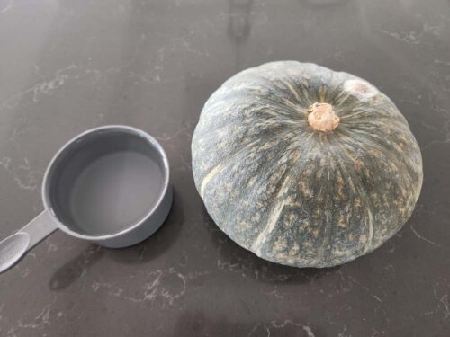 Instant Pot Kabocha Squash - A Pressure Cooker Kitchen