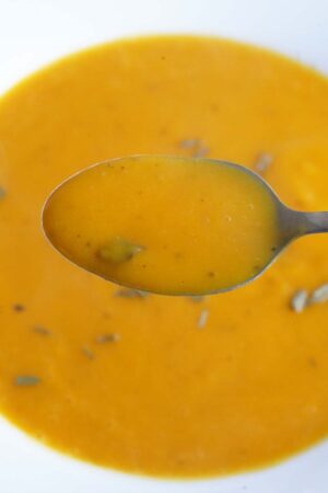 Instant Pot Kabocha Squash Soup - A Pressure Cooker Kitchen