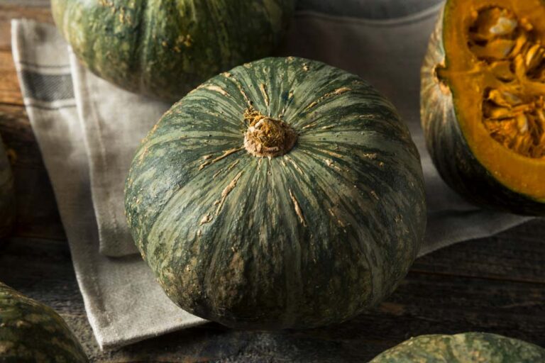 Instant Pot Kabocha Squash - A Pressure Cooker Kitchen